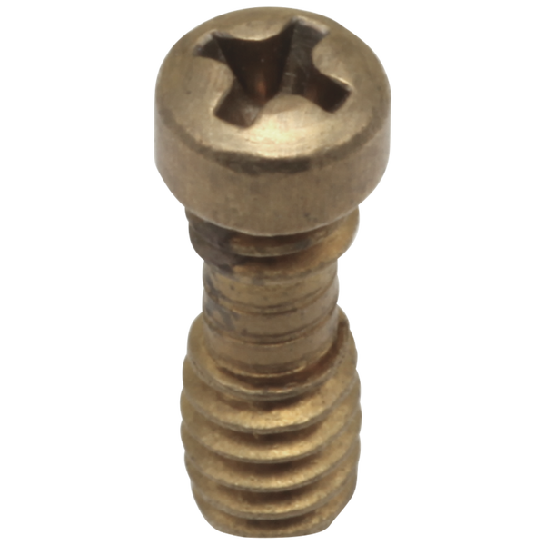 Retention Screws (2) - 1/2" RP20185 | Delta Faucet