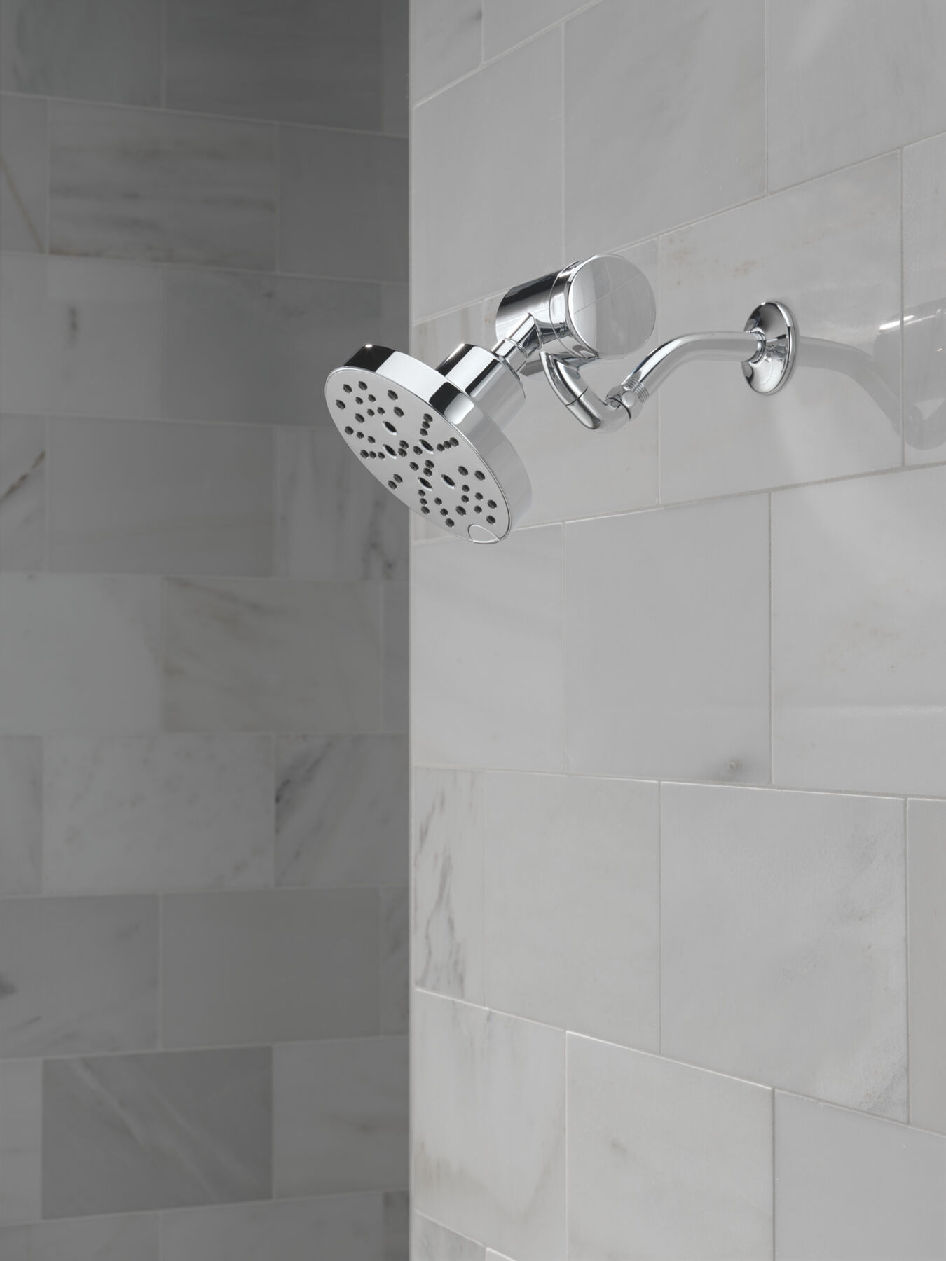 Premium Shower Filter with Extra Filter Bundle in Chrome FVS2-CF7804 ...