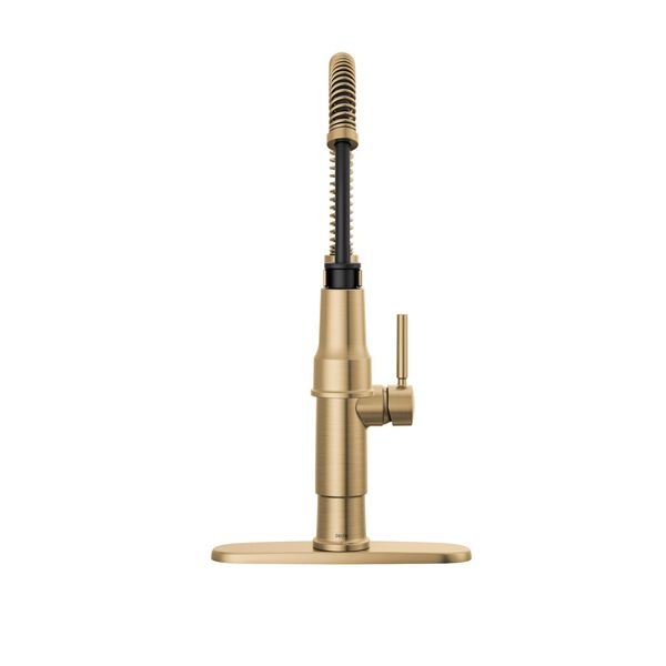 Single-Handle Pull-Down Spring Kitchen Faucet in Champagne Bronze ...
