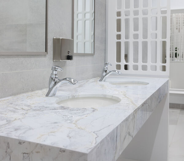 Single Hole Metering Slow-Close Bathroom Faucet in Chrome 87T105 ...